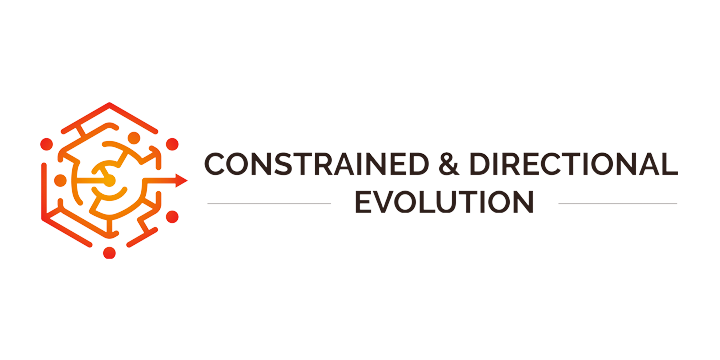 Kuratani Shin-gakujyutsu Project | Shigenobu Lab